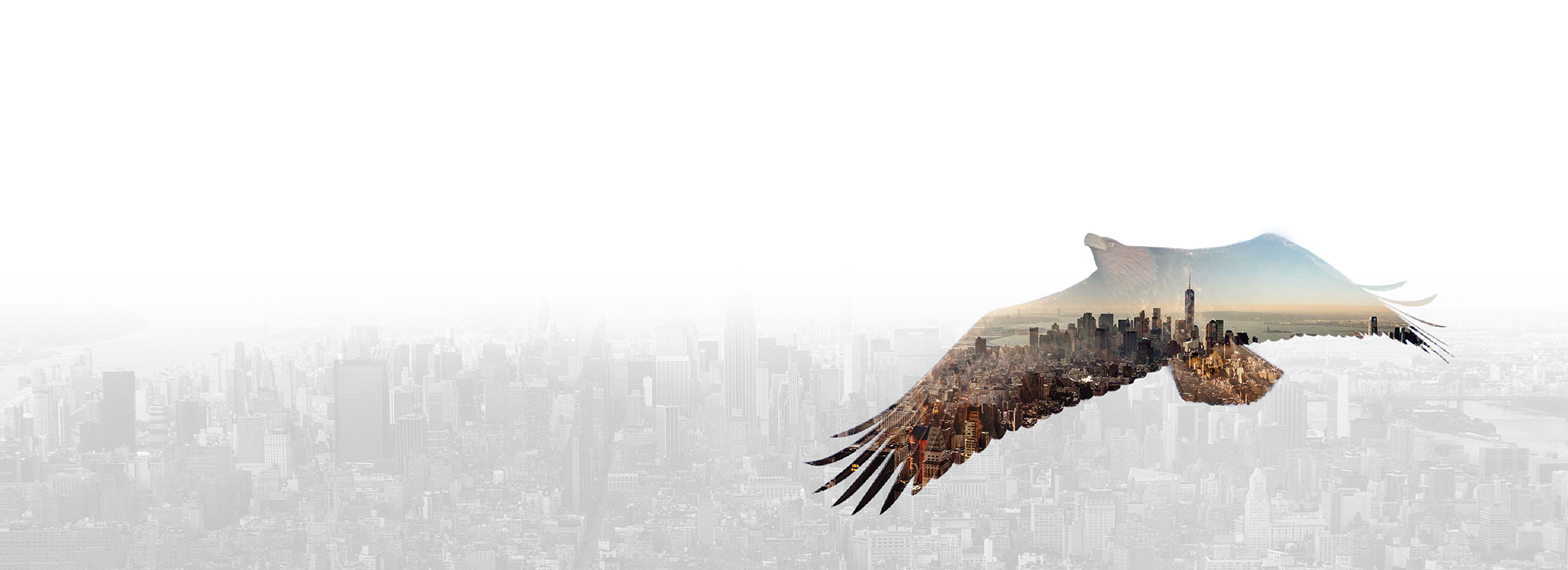 Australian Eagle Asset Management Partnership with Montgomery ...