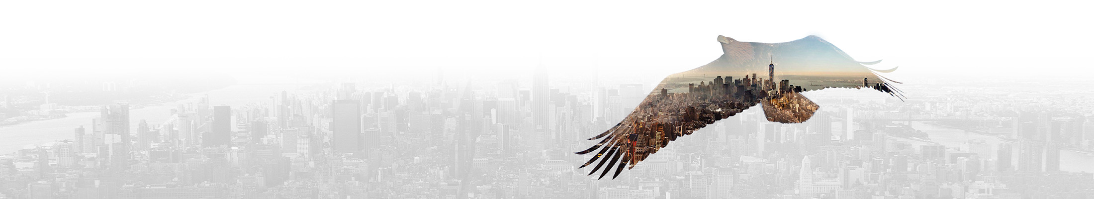 Introducing our partnership with Australian Eagle Asset Management ...